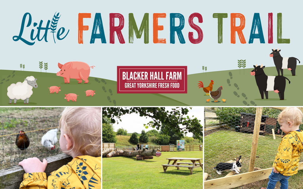 Little farmers Family experience – Blacker Hall Farm