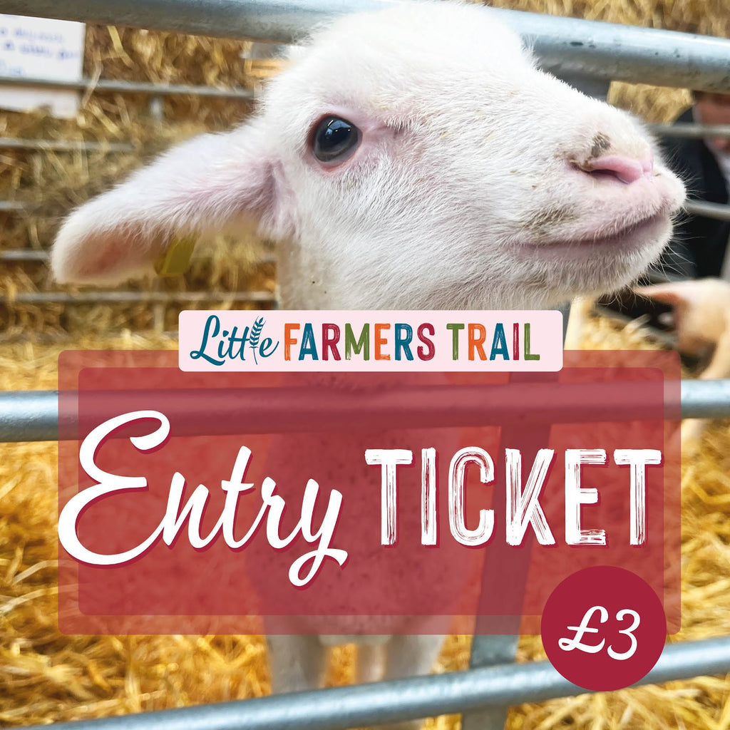 Little Farmers DAY TICKET – Blacker Hall Farm