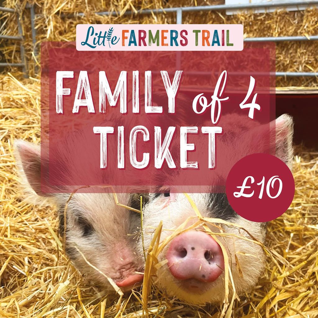 Little Farmers FAMILY DAY TICKET (for 4) – Blacker Hall Farm