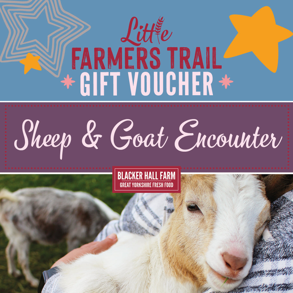 Goat & Sheep Encounter - Gift Voucher – Blacker Hall Farm