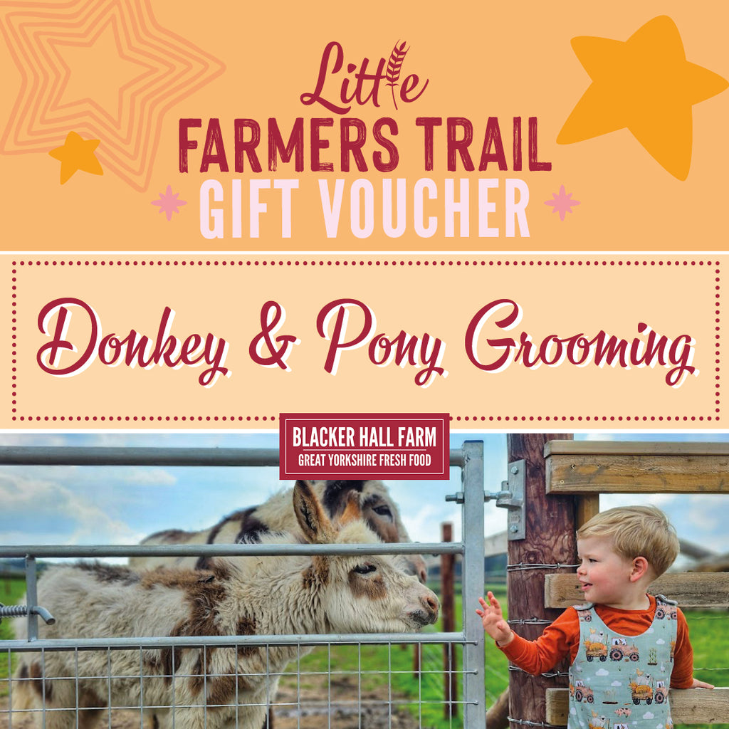 Donkey & Pony Grooming - Gift Voucher – Blacker Hall Farm