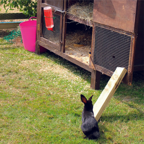 Little Farmers Trail – Blacker Hall Farm