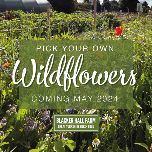Events – Blacker Hall Farm