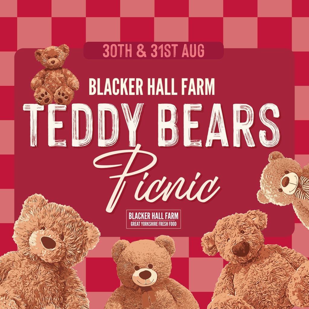 Teddy Bears Picnic – Blacker Hall Farm