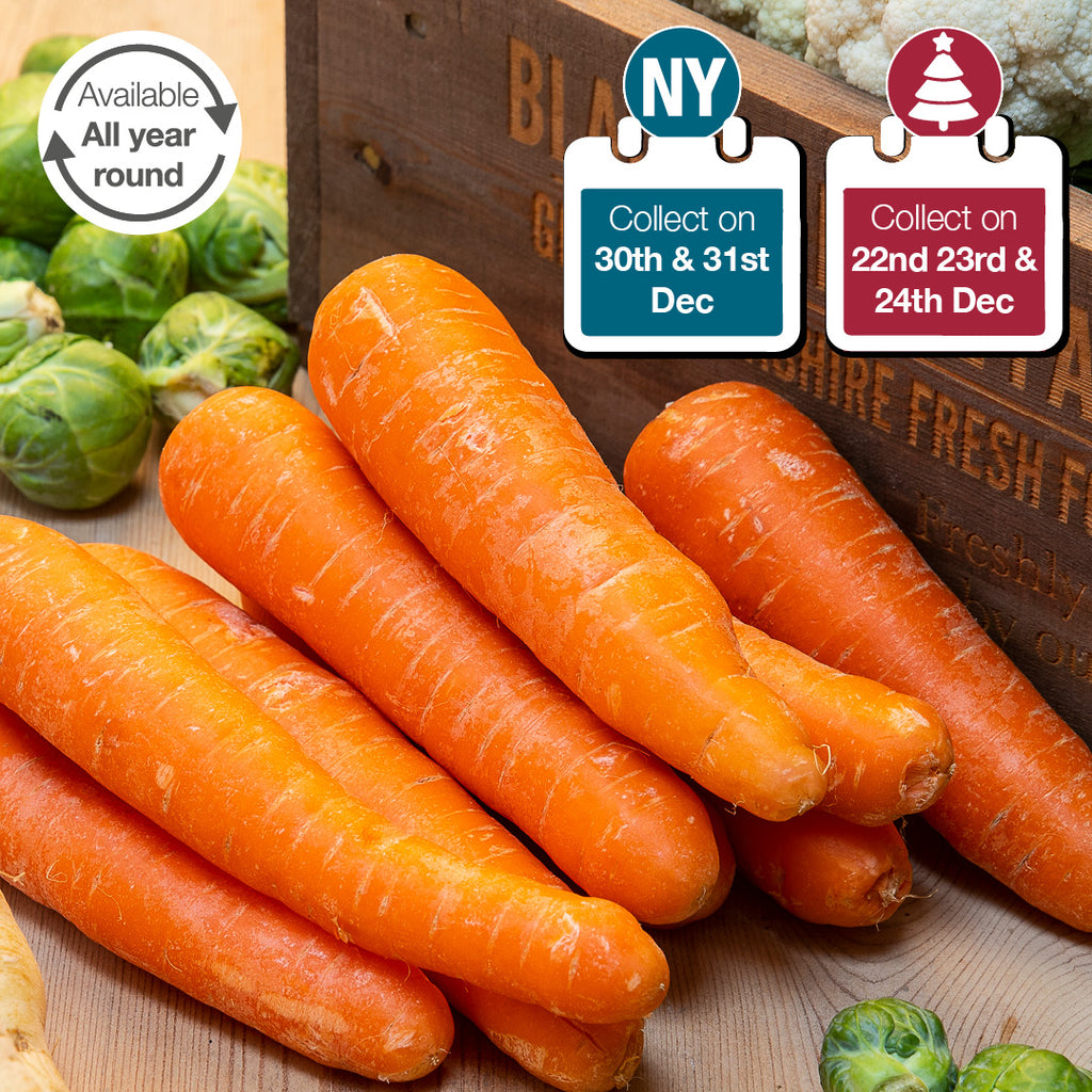 Fresh Carrot Net – Blacker Hall Farm