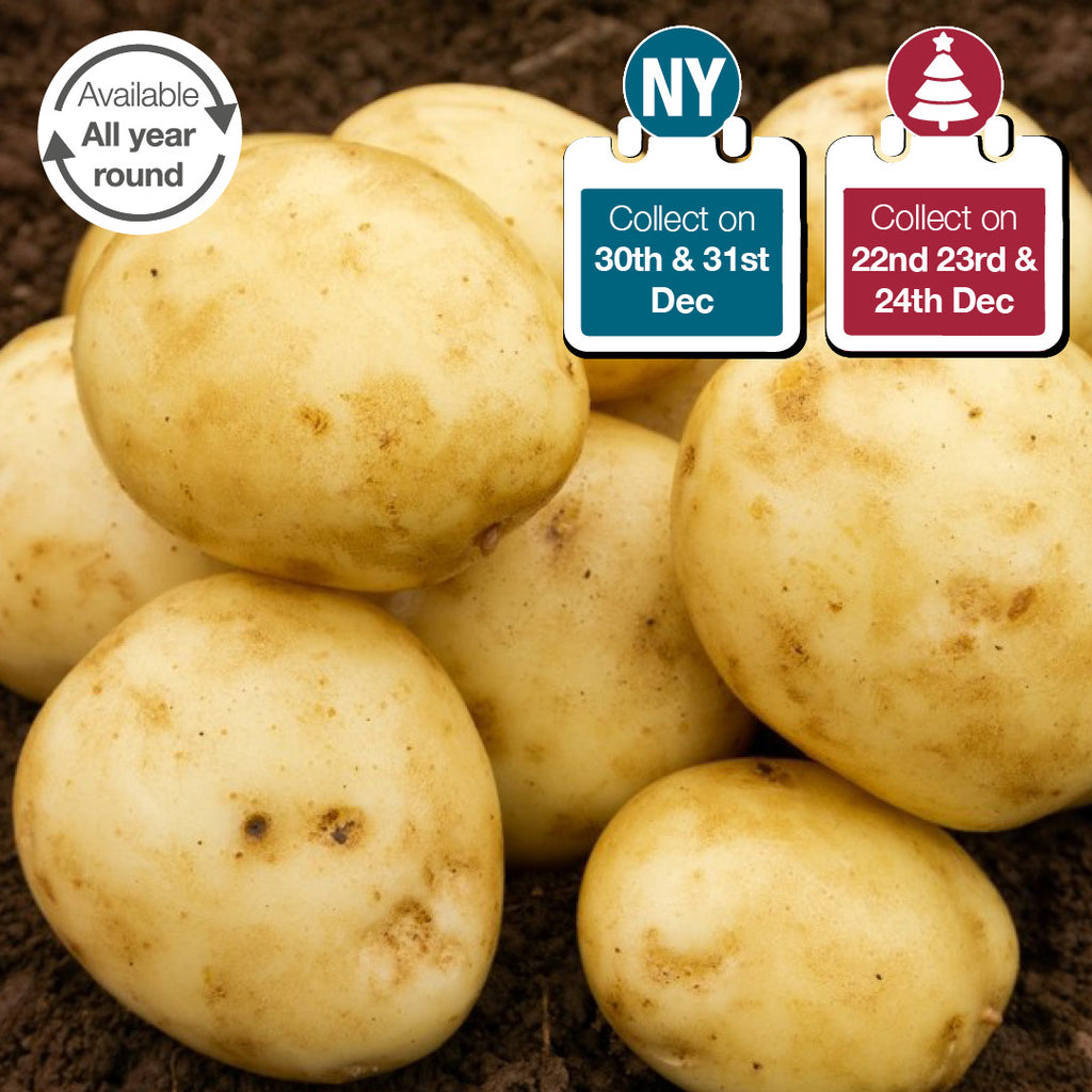 Locally Grown Potatoes – Blacker Hall Farm